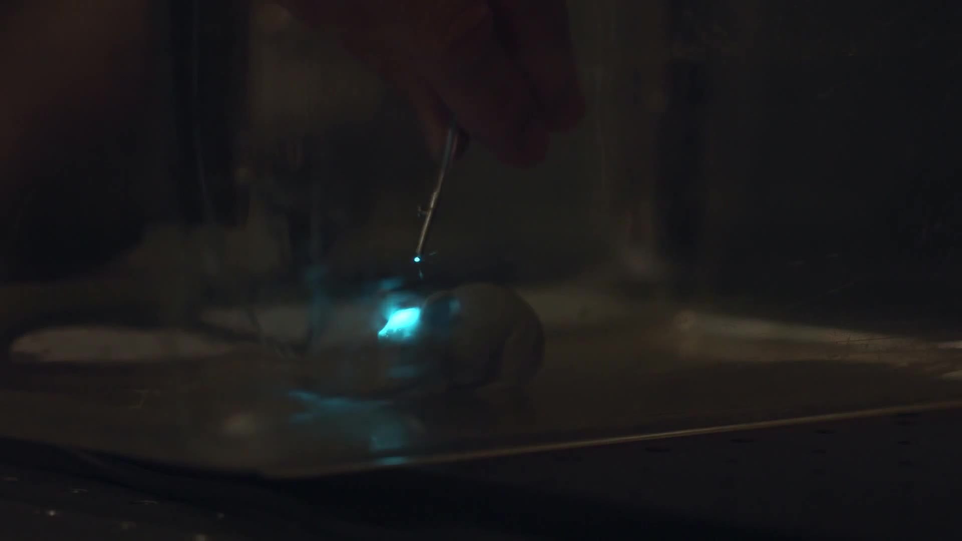 Next Generation Optogenetics Early Concept Brain Research Science